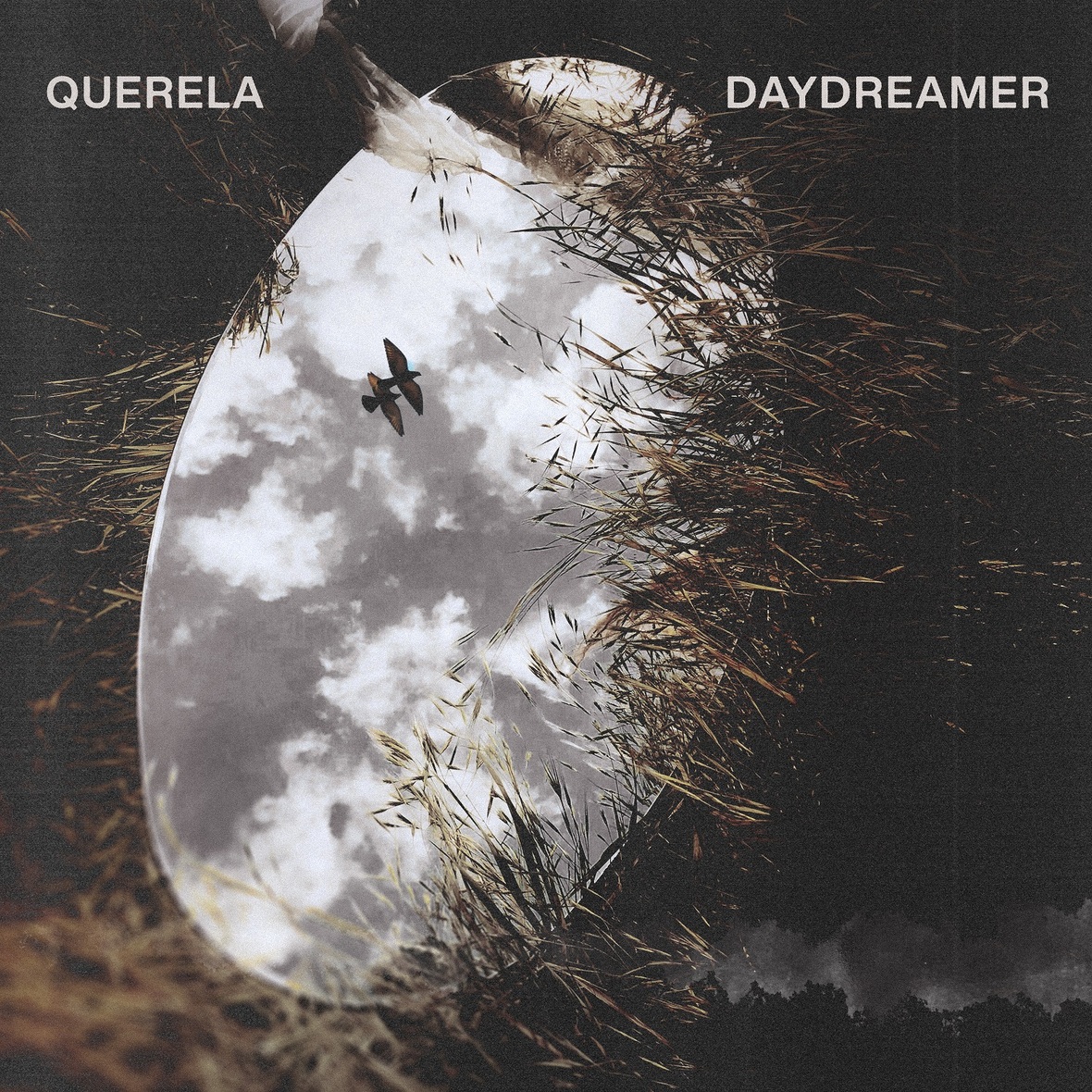 querela - daydreamer - Headbangers News